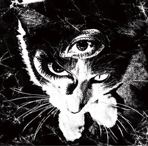 Best Shoegaze albums of 2026 - Rate Your Music